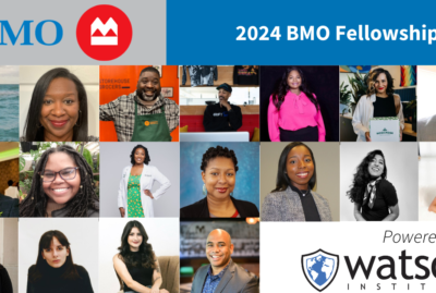 Meet the Fellows - Watson Institute